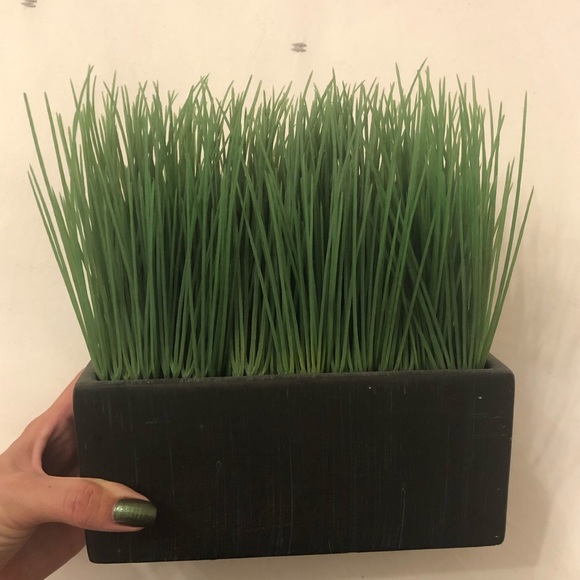 Crate&Barrel | Accents | Crate Barrel Large Faux Potted Grass | Poshmark